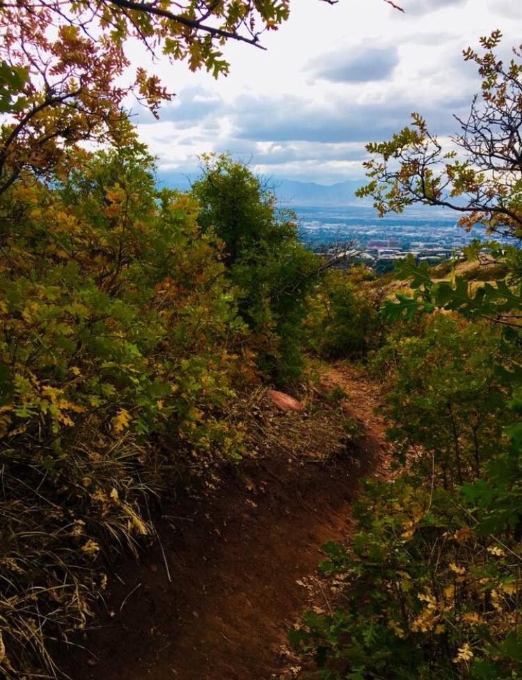 Ragnar Sunset Trail Experiment – Running on Resilience